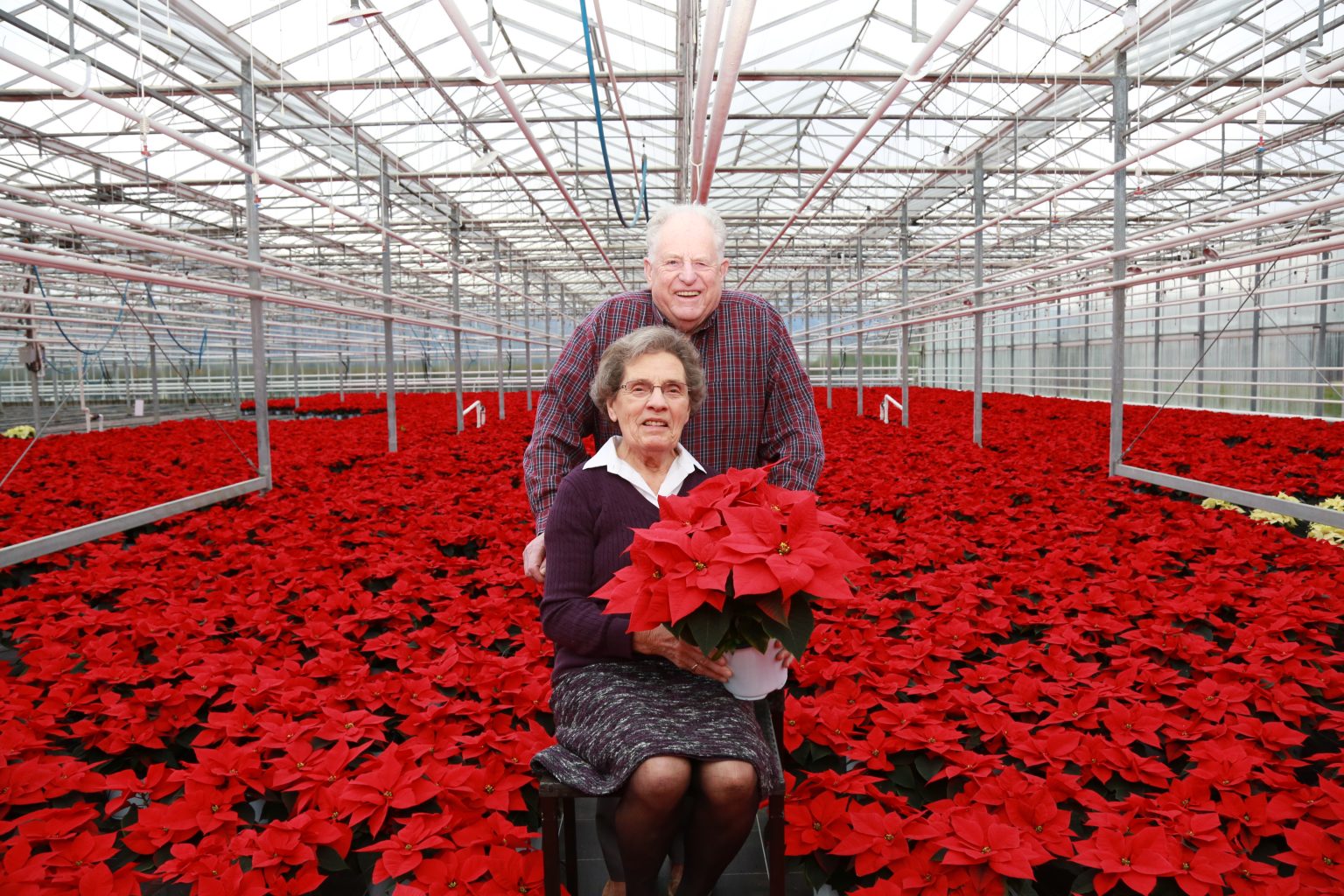 Our Story – DeVry Greenhouses